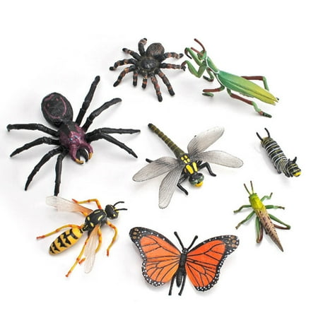 Realistic Insect Model Simulation Spider Butterfly Grasshopper Action ...