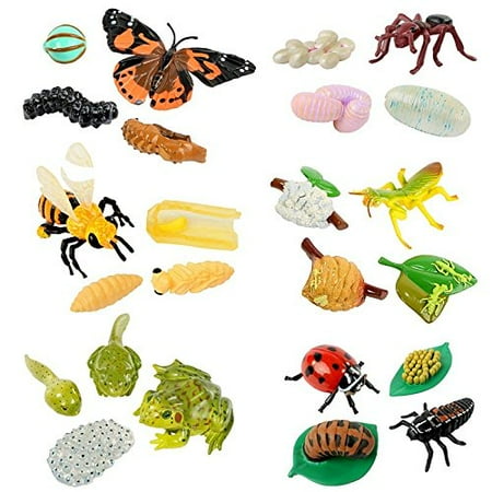 Insect Lore Life Cycle Stages Complete Set Insect Figurines | Walmart ...