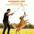 7set Adjustable Dog Training Poles with Squeaky and Rope for Agility ...
