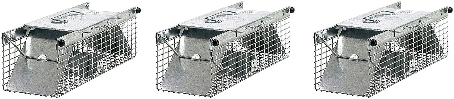Havahart 1025 Small 2-Door Live Animal Trap Ideal for catching ...