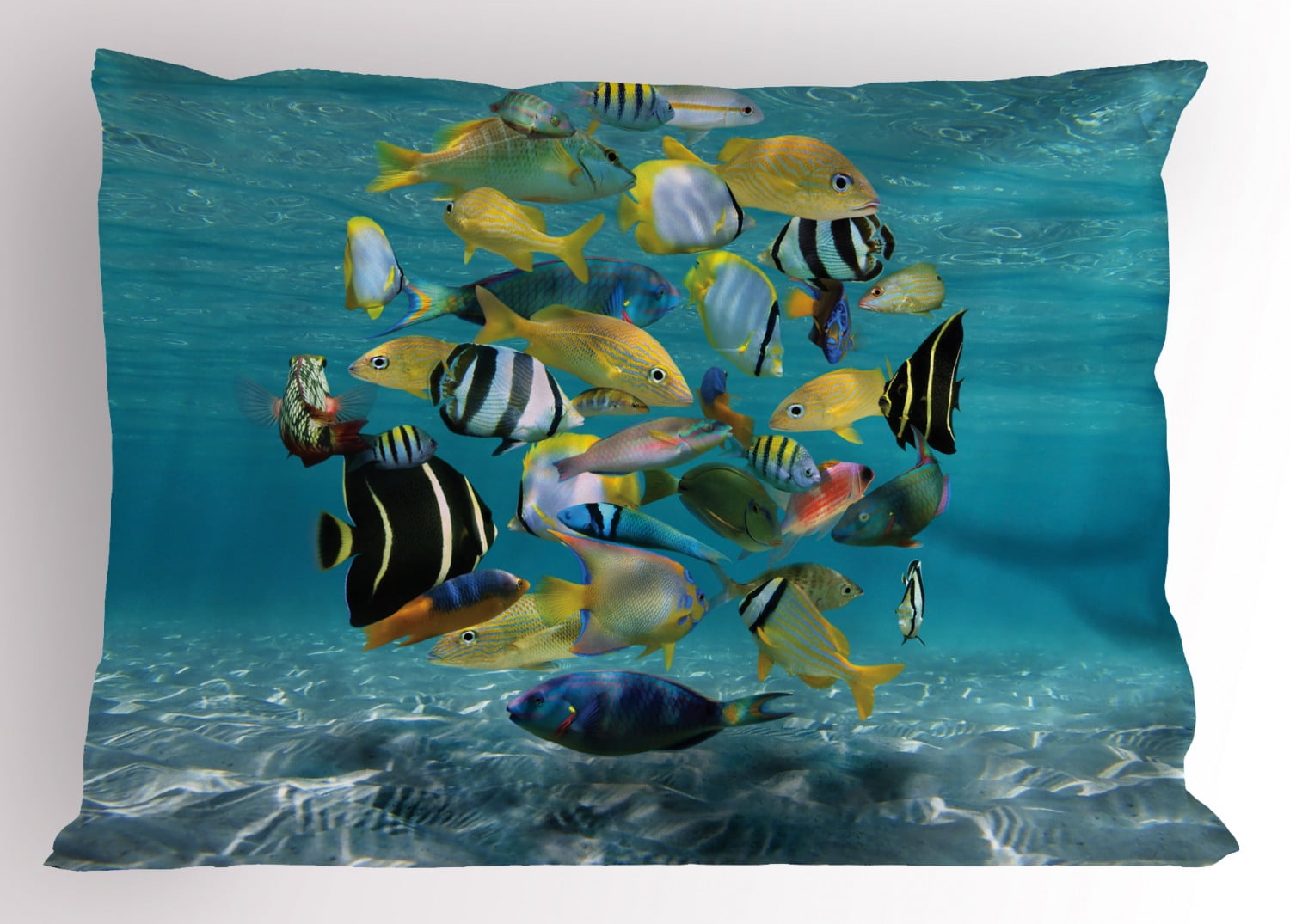 Fish Pillow Sham Shoal of Fish Forming a Circle above a Sandy Seabed in ...