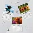 Highlands Cow Calendar For 2026 With Paper Material For Wall Display ...