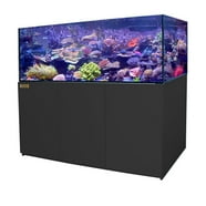 Fluval 9-Gallon FLEX Aquarium Kit, Black - Walmart.com