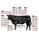 Beef Cuts Of Meat Butcher Chart Cattle Diagram Poster 16in x 24in 16x24 ...
