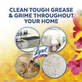Lysol Brand New Day Bathroom Cleaning Foamer Aerosol, Mango & Hibiscus ...