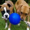 Pink Romp n Roll Ball Pet Ball - Medium - Walmart.com