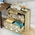 Tribesigns Rustic-Modern File Cabinet for Home Office, 2-Drawer File ...