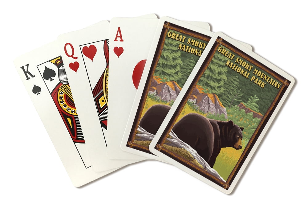 Great Smoky Mountain National Park, Tennessee, Black Bear in Forest ...