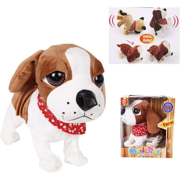 Zoomer Puppies