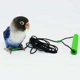 20 Feet Parrot Bird Anti-bite Flying Training Rope Leash Harness in the ...