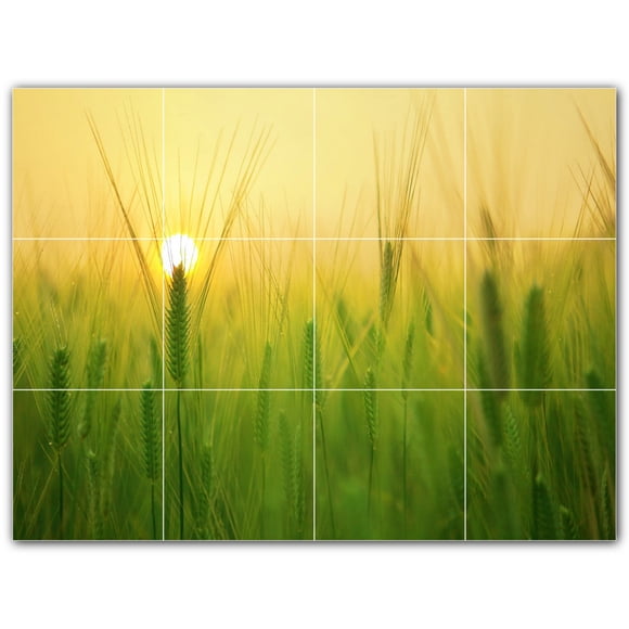 Farm Drainage Tile