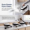 2500W High Pressure Handheld Steam Cleaner, 229°F High Temperature, 1 ...