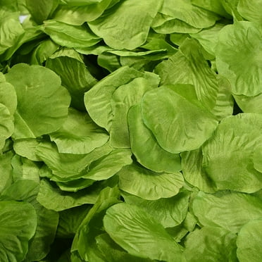 3000 Pcs Dark Red Silk Rose Petals for Wedding, Romantic Night Party ...