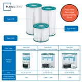 Mainstays Pool Filter Cartridge Type IV B for Above-Ground Pools 5.6x10 ...