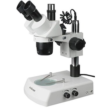 Vision Scientific VS-1EZ-IHL20 Binocular Zoom Stereo Microscope, 10x WF ...