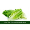 Vegetable Seeds-Little Fingers Carrot- 100 Seeds- Extra Sweet - Baby ...