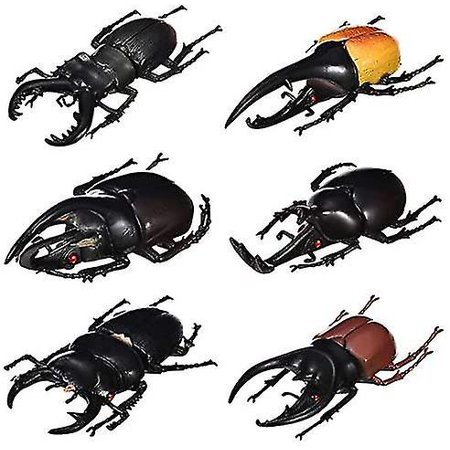 5.5 Inch Fake Beetle Simulated Insect Model Realistic Plastic Beetle ...