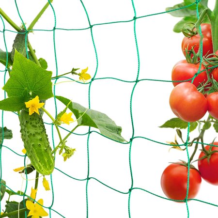 Garden Net Trellis, Climbing Plant Net 1.8m x3m, Suitable for Cucumbers ...