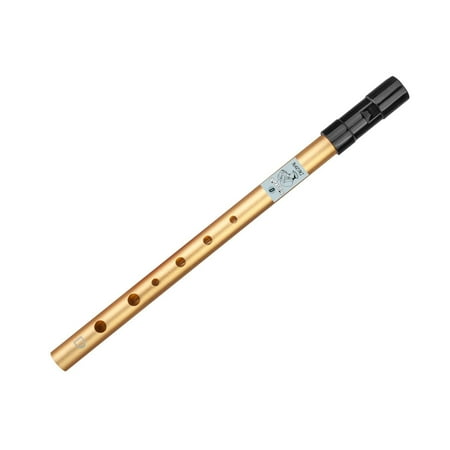 Sifflet en étain Portable 6 trous Instrument de musique facile à ...
