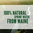 POLAND SPRING 100% Natural Spring Water, 50.7oz Plastic Bottles ...