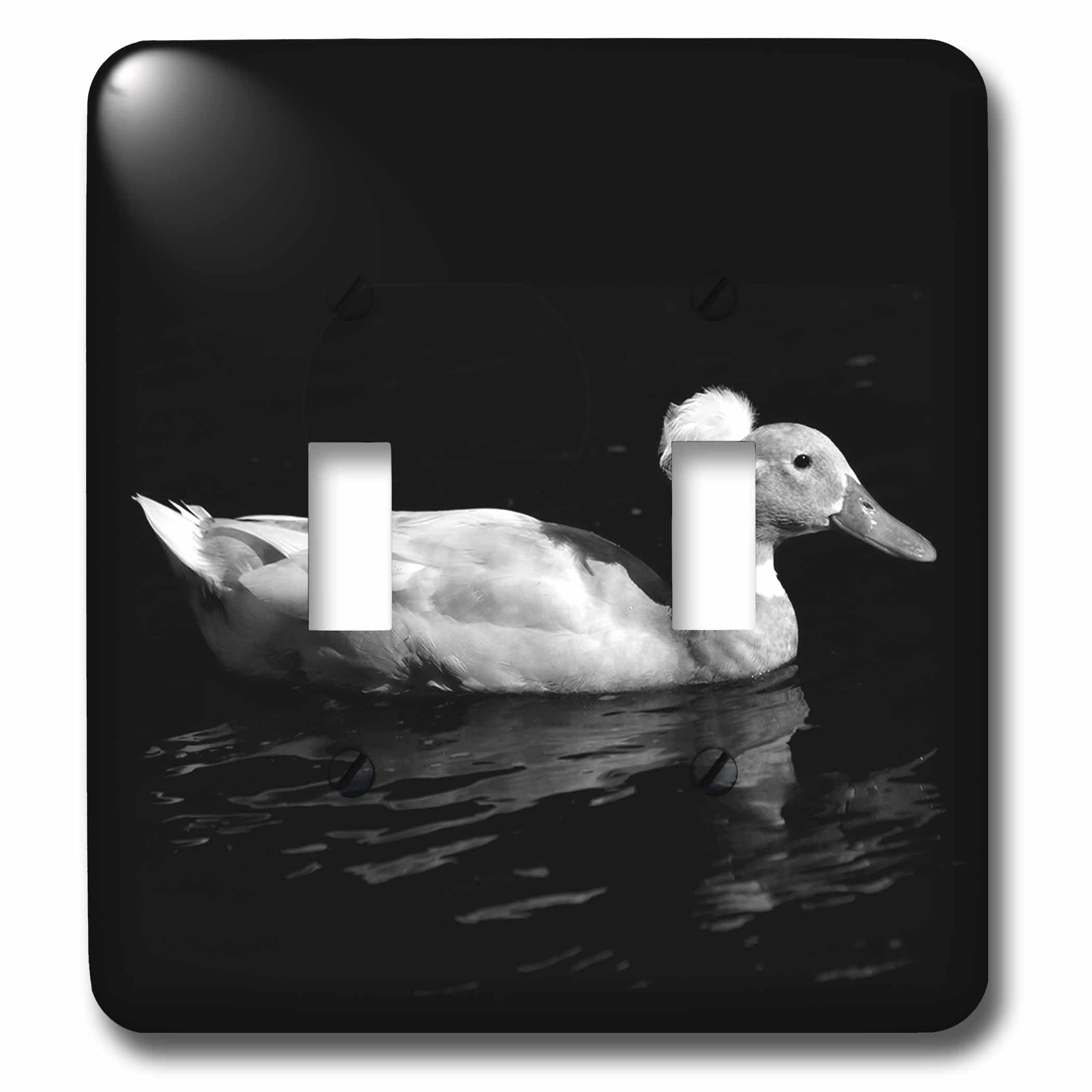 Black and white photograph of a crested duck swimming in a river ...
