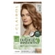 Clairol Natural Instincts Demi-Permanent Hair Color Creme, 7RG Dark ...