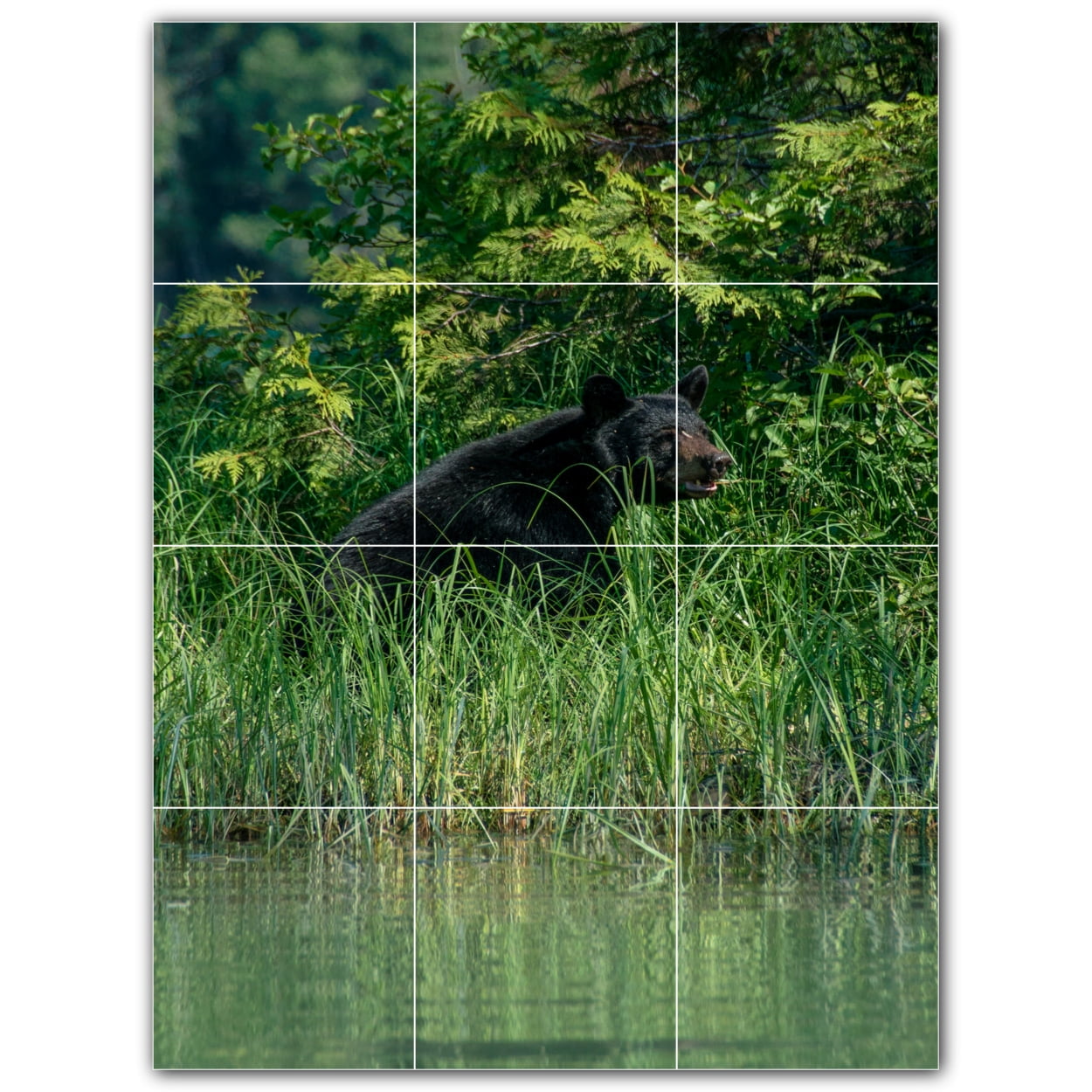 Picture-Tiles.com: Bear Ceramic Tile Wall Mural WAL500122-34L. 24"W x ...