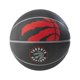 Spalding NBA Toronto Raptors Team Logo - Walmart.com
