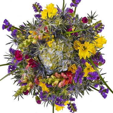 Touch of Sun Mixed Bouquet - Farm Direct Fresh Cut Flowers - 10 Pack ...