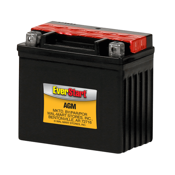 Everstart Battery Atv