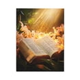 CozyNet Radiant Light Streaming Onto An Open Bible Surrounded By ...
