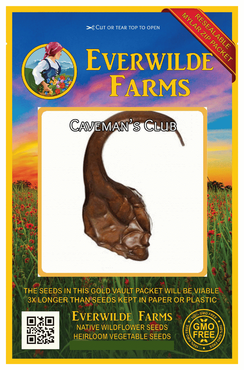 Everwilde Farms - 25 Caveman’s Club Gourd Seeds - Gold Vault Jumbo Bulk ...