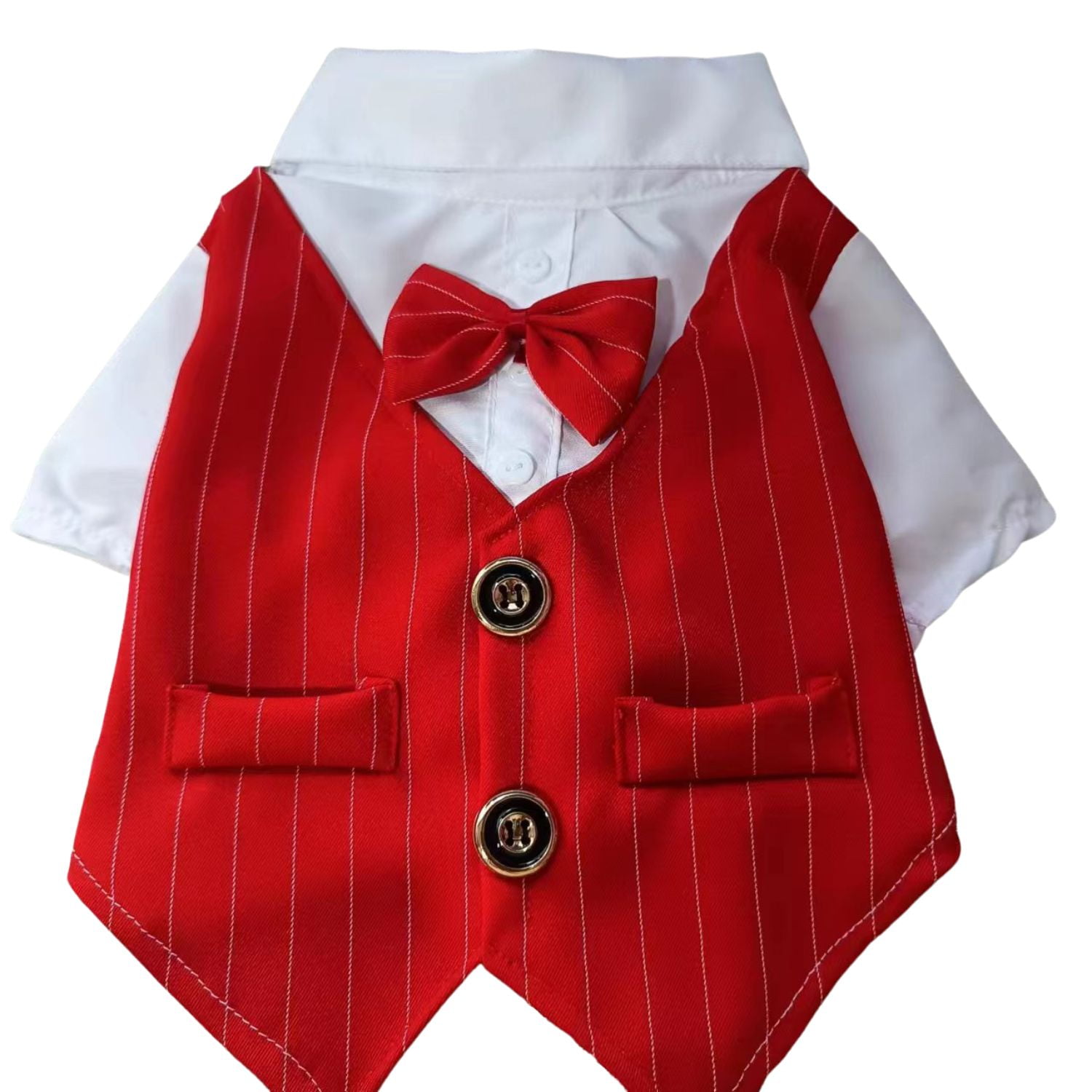 BT Bear Dog Wedding Shirt, Dog Tuxedo With Bow Tie, Dog Wedding Formal ...