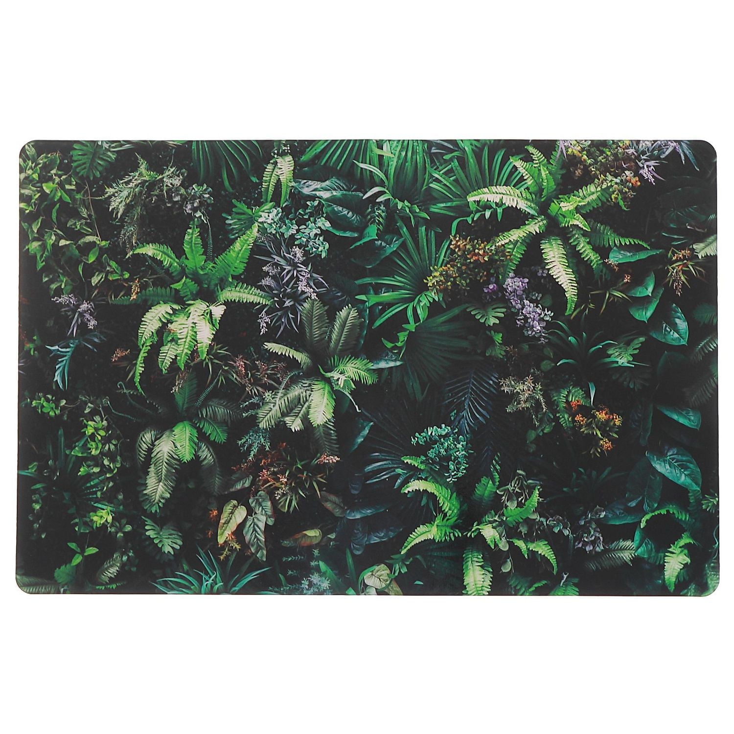 Click here for Ih Casadécor Plastic Placemat Living Wall - Set Of... prices