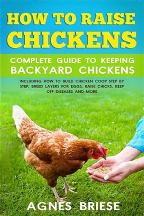 Pre-Owned How To Raise Chickens Complete Guide To Keeping backyard ...