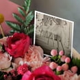 3drose, Sepia Ballerinas in Tutus and Pointe Shoes, 12 Greeting Cards ...