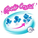 So Magic DIY - Medium Magic Terrarium Kit - Crystal Edition - Walmart.com