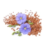 Food to Live, Organic Brown Flax Seeds, 4 Pounds, Vegan Kosher ...