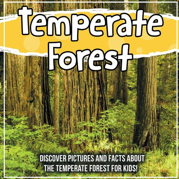 Temperate Forest : Discover Pictures and Facts About The Temperate ...