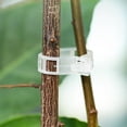 Agiufgs Plant Support Clips, -Lock Buckle Design for Secure Grip, for ...