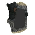 Large 27" H Western Rustic Forest Black Bear Holding A Tree Branch Wall ...