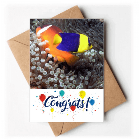 ocean anem fish nature picture Wedding Cards Congratulations Greeting ...