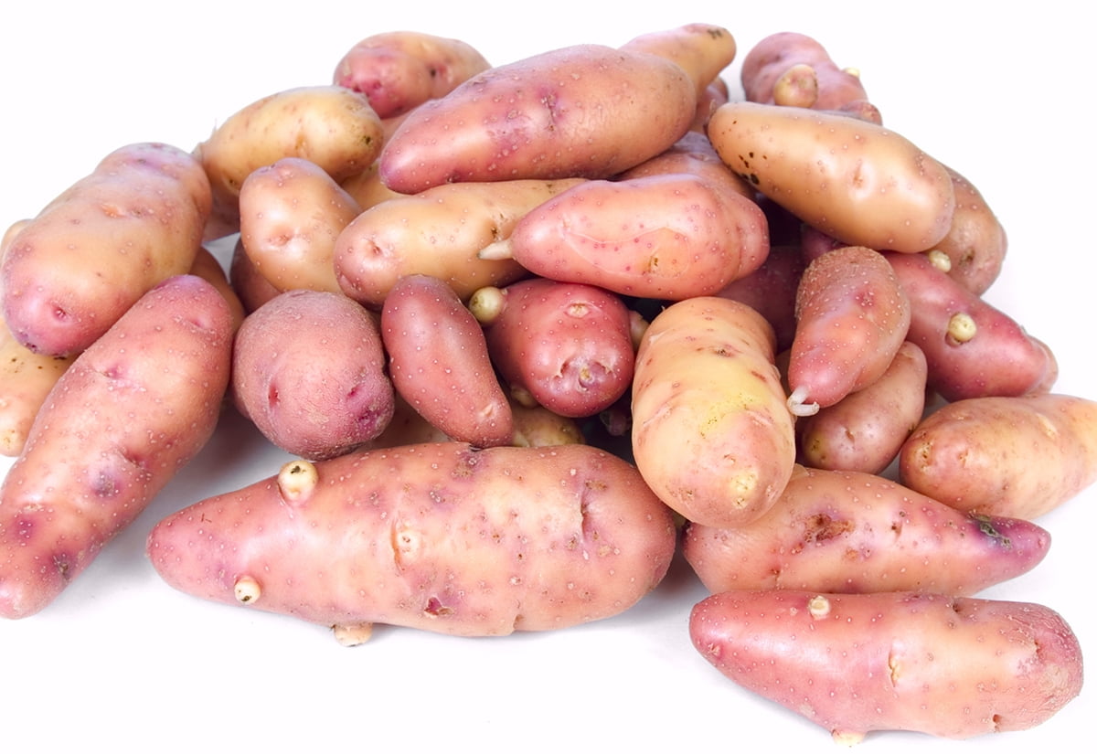 French Fingerling Potato 3 Tubers - Heirloom - Walmart.com