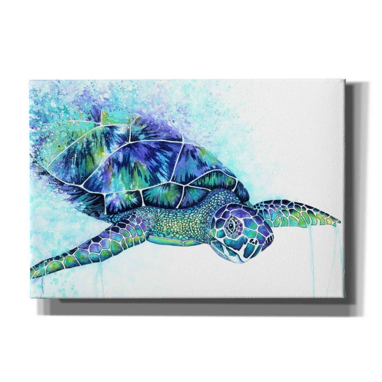 Turtle Drawing Dimension