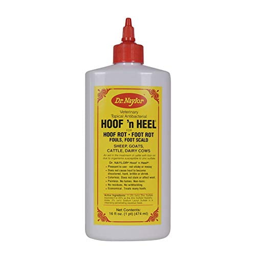 Dr. Naylor Hoof N Heal, Hoof Rot Foot Rot Wound Care, 16oz, Sheep Goat ...
