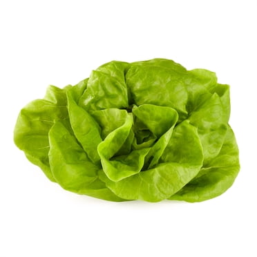 Fresh Iceberg Lettuce, Each - Walmart.com