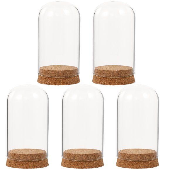 Glass Bell Jars