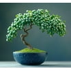 Dwarf Bonsai Apple Tree Seeds - 50 Seeds - Grow Exotic Indoor Fruit Bonsai - Walmart.com