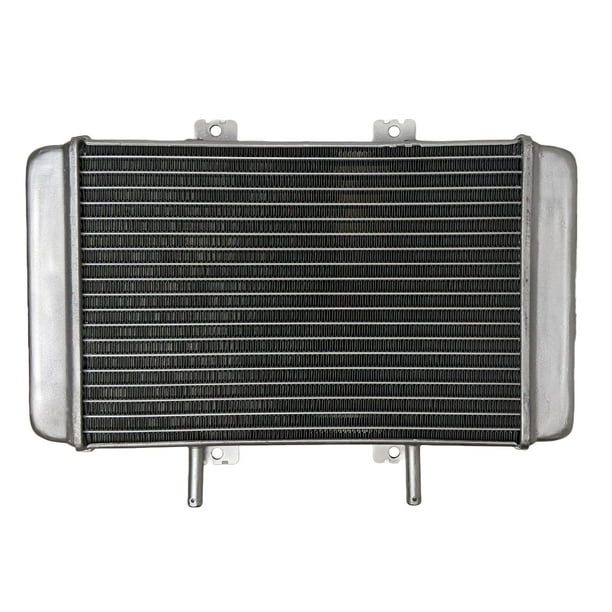 Radiator for Buyang Feishen 300cc D300 ATV Quad - Walmart.com