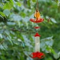 AZXY Hummingbird Feeders Clearance,Hummingbird Feeder Glass,Hummingbird ...